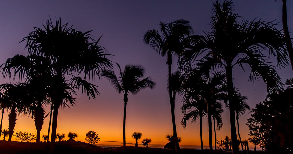 25 Best Places to Visit in Florida in the Spring | Geovea