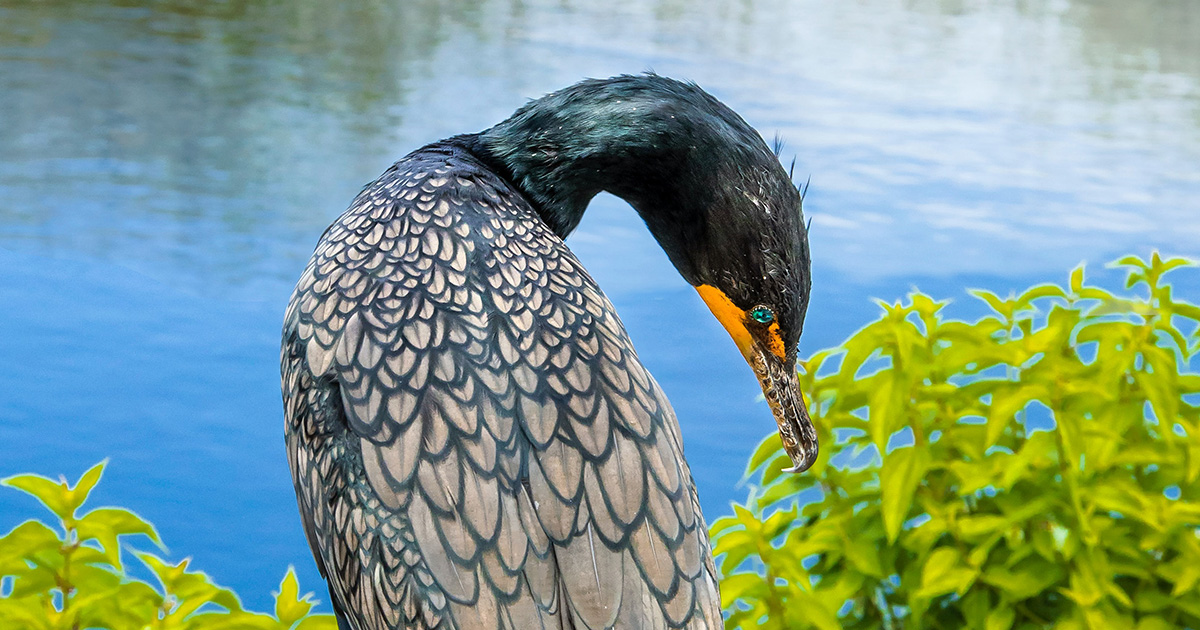 25 Best Places to Visit in Florida in the Spring | Geovea