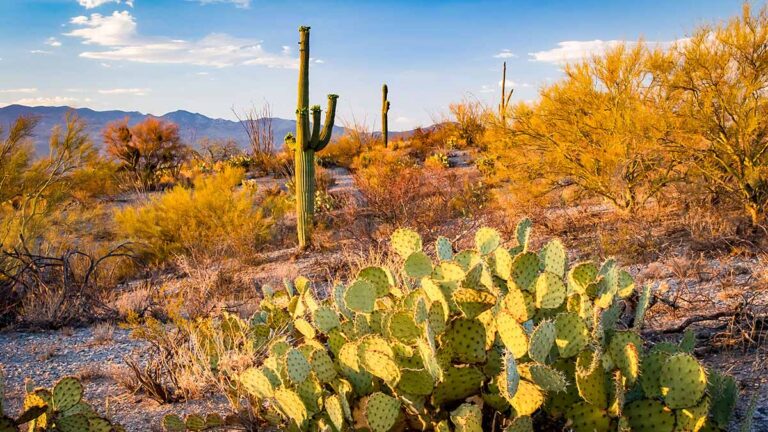 25 Best Places to Visit in Arizona in the Spring | Geovea