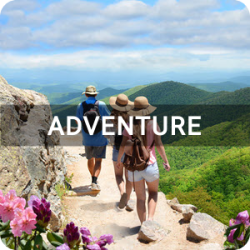 Custom Trip Planning: Tailored Travel Experiences | Geovea